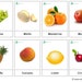 Fruits-24 SPANISH Montessori Cards - Etsy