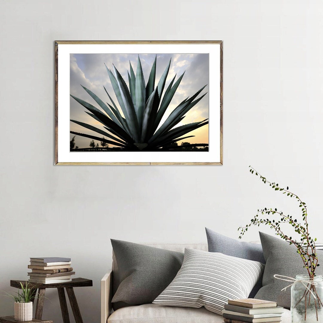 Agave Plant Poster - Succulent Printable Wall Art - Cactus Photography ...