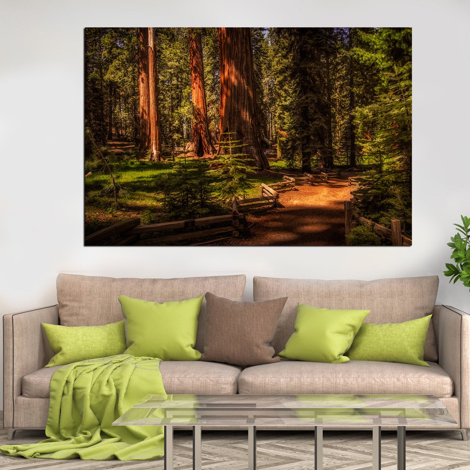 Sequoia National Park Spruce Trees Wall Art Giant Sequoia | Etsy