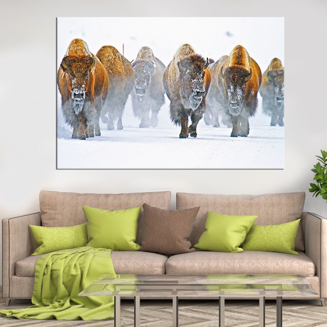 American Bison Framed Wall Art, Buffalo Print on Canvas, Bison Herd in ...