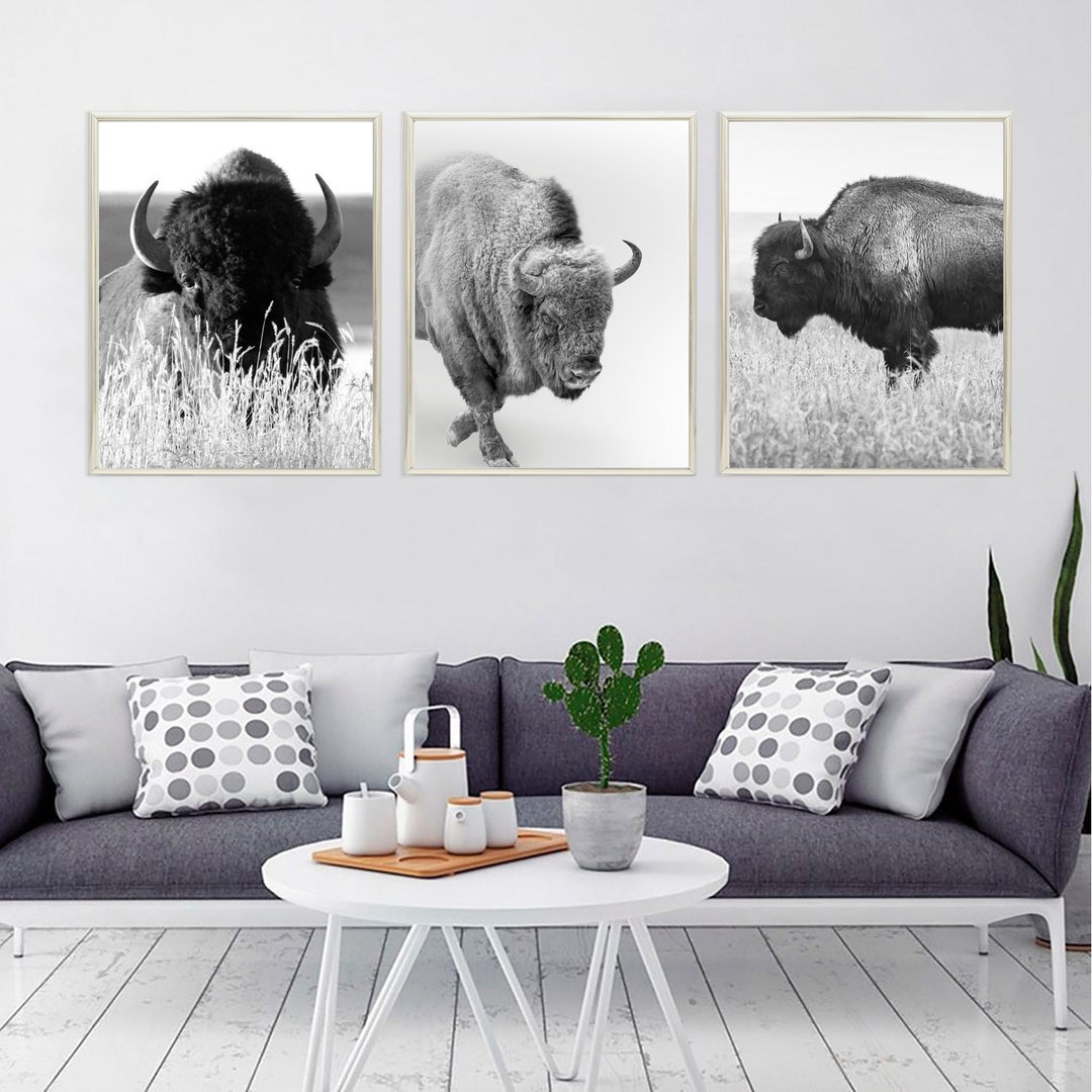 Bison Print Buffalo Black and White Photo - Set of 3 Prints Printable ...