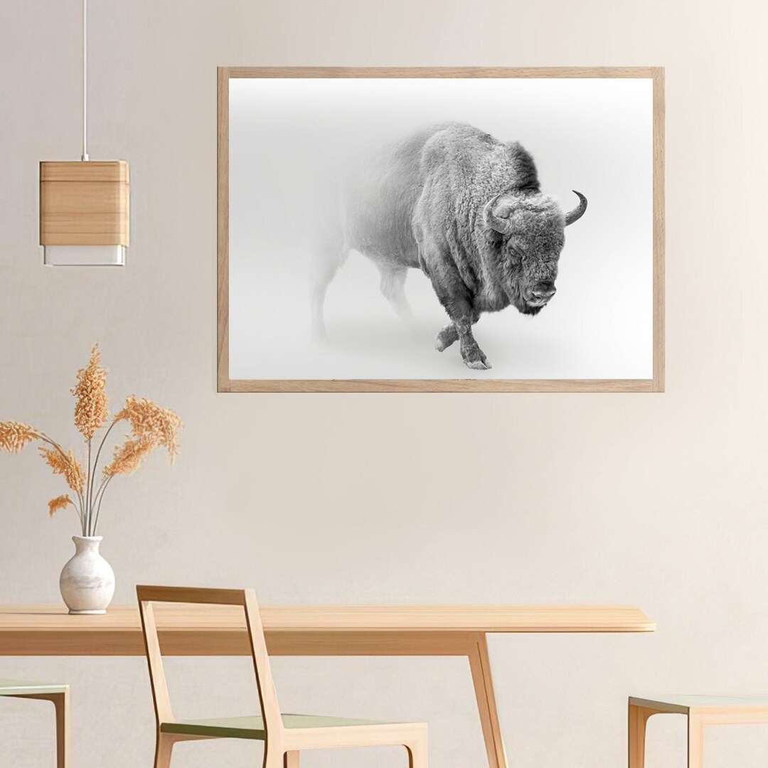 Bison Photography Print: Black and White Buffalo Wall Art (digital ...