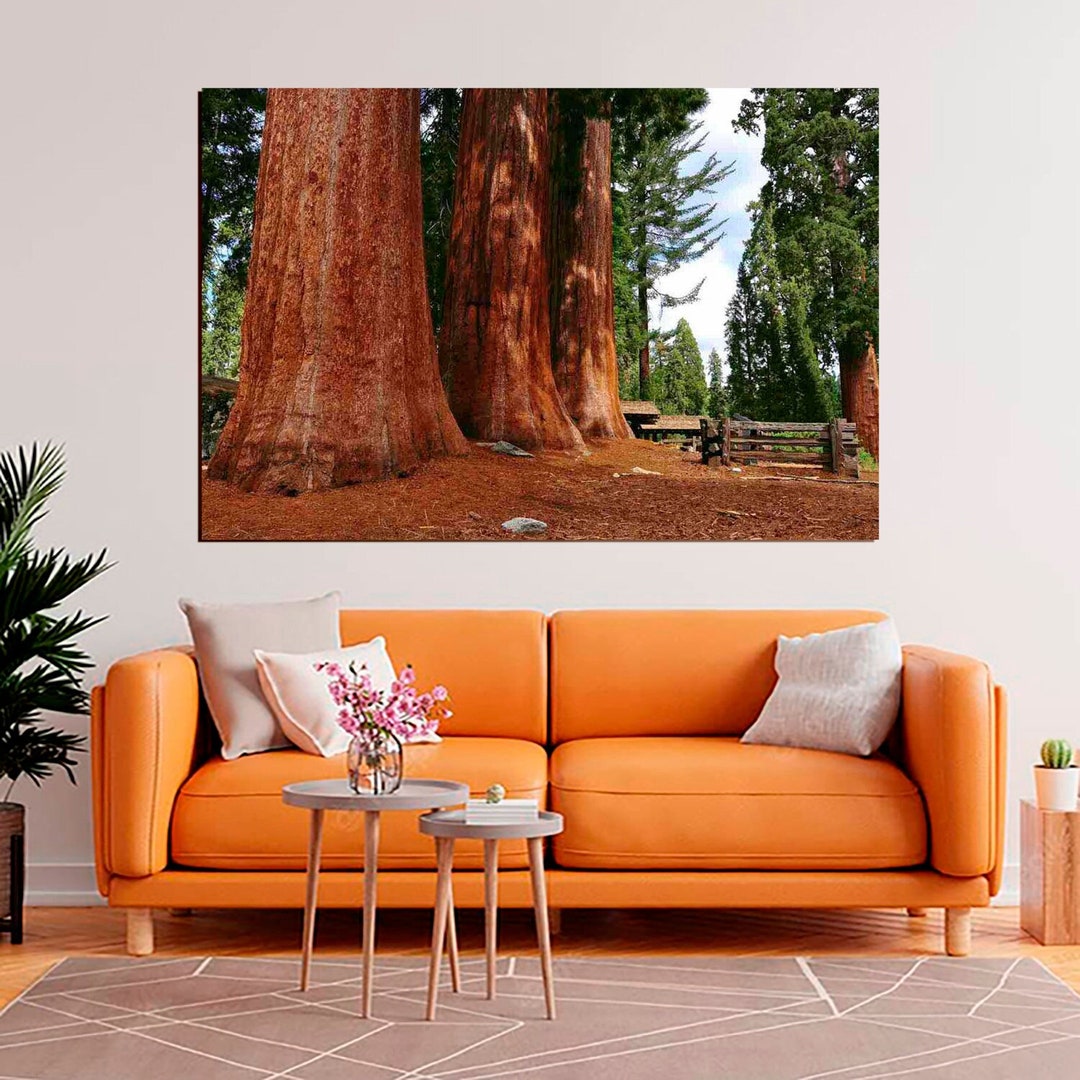 Sequoia National Park Large Wall Art, California Framed Canvas Print ...