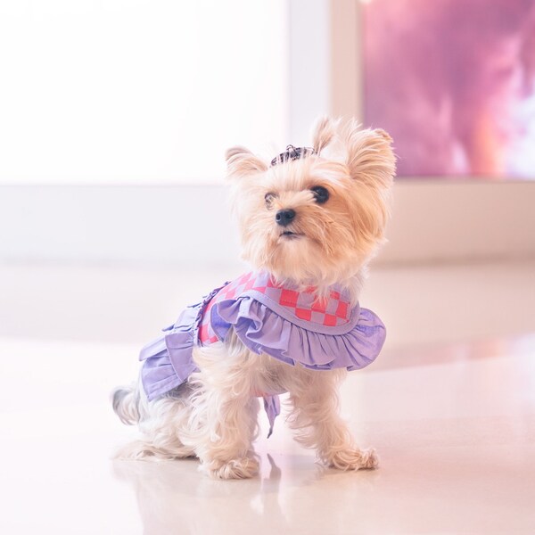 Ruffle Dog Harness - Etsy