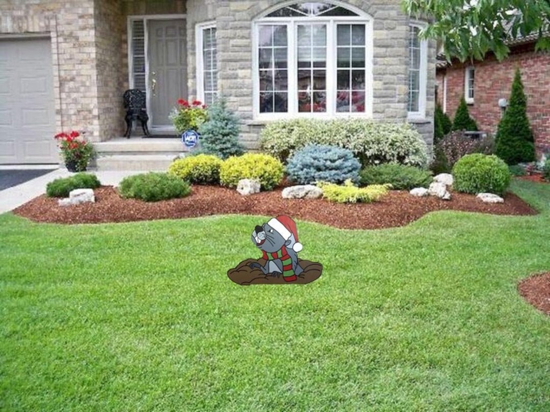 Hand Painted Winnie the Pooh Gopher Santa Christmas Yard Art/disney ...