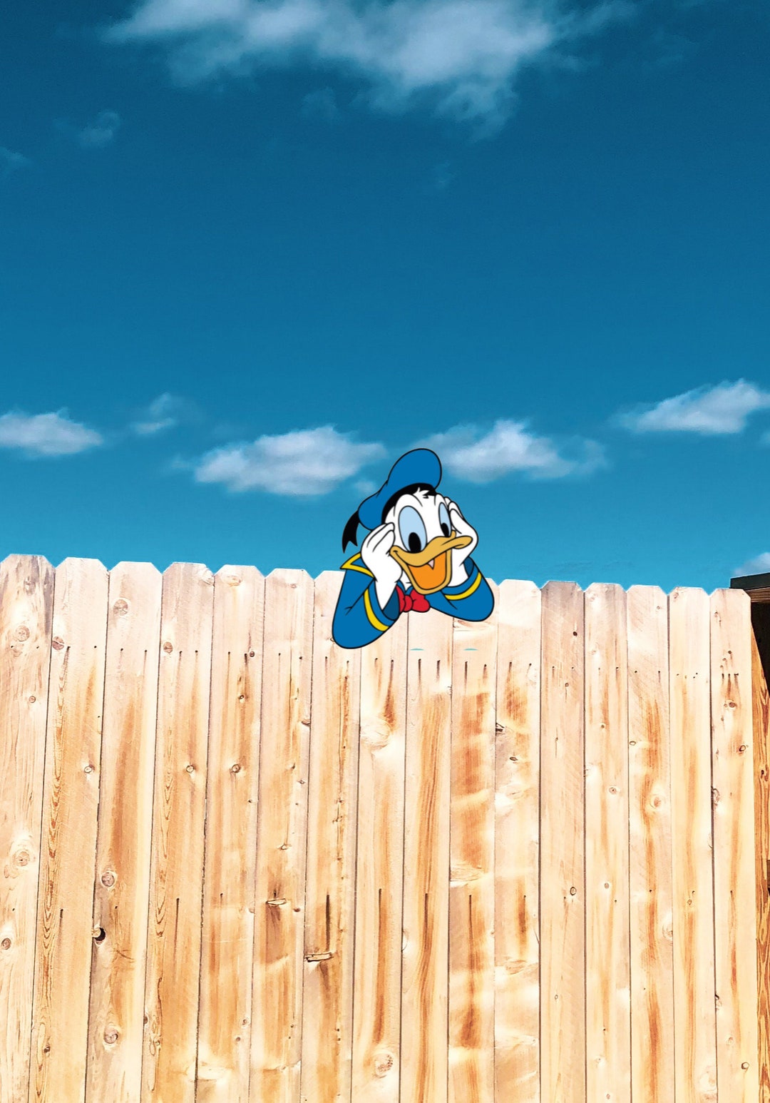 Hand Painted Donald Duck Fence Peeker/ Disney Fence/ Disney Decor ...