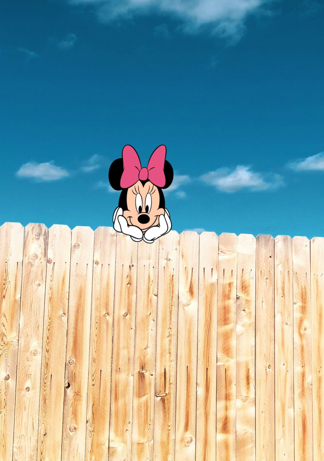 Hand Painted Disney Minnie Mouse Fence Peeker/ Disney Fence/ Disney ...