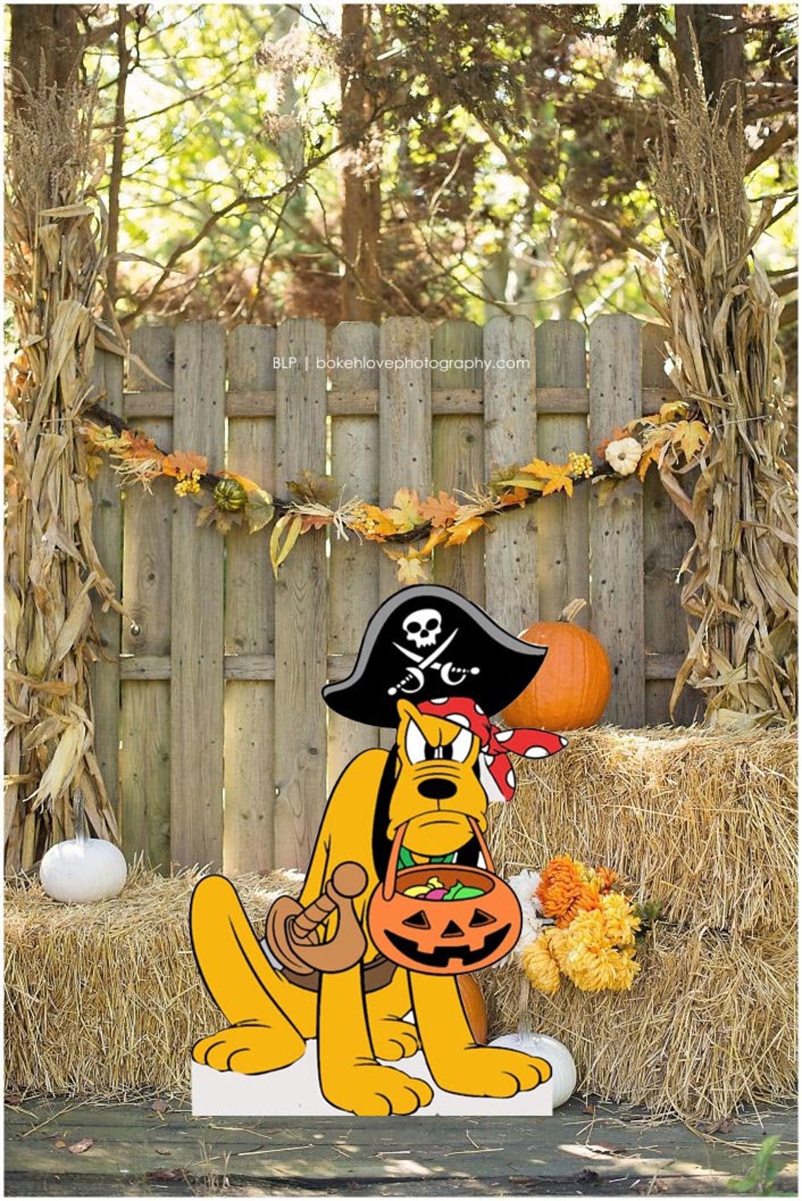 Hand Painted Disney Pluto Pirate Halloween Yard Art/ Disney - Etsy