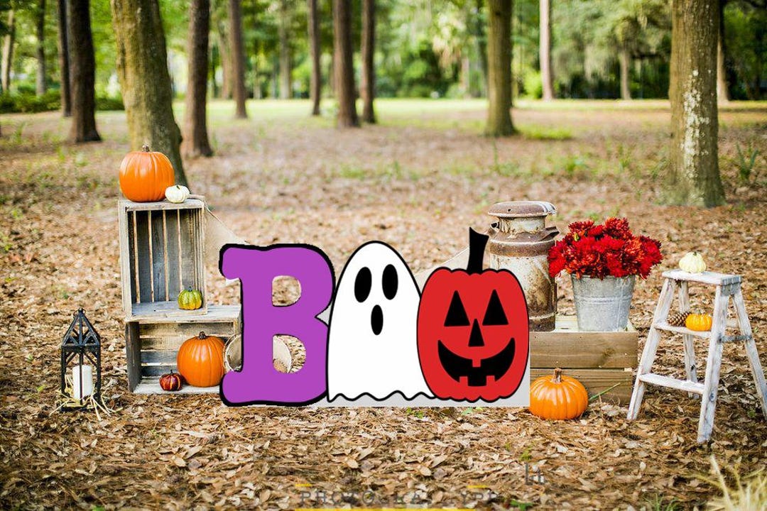 Hand Painted Halloween BOO Sign Yard Art/ Halloween Yard Art/ Ghost ...