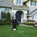 Hand Painted 4' Tall Scream Yard Art/ Wooden Yard Art/ Horror Movie ...