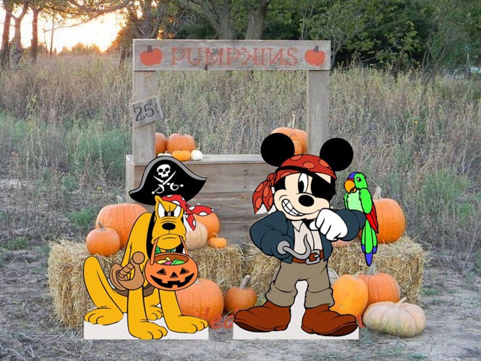 Hand Painted Disney Mickey Mouse and Pluto Pirate Halloween - Etsy