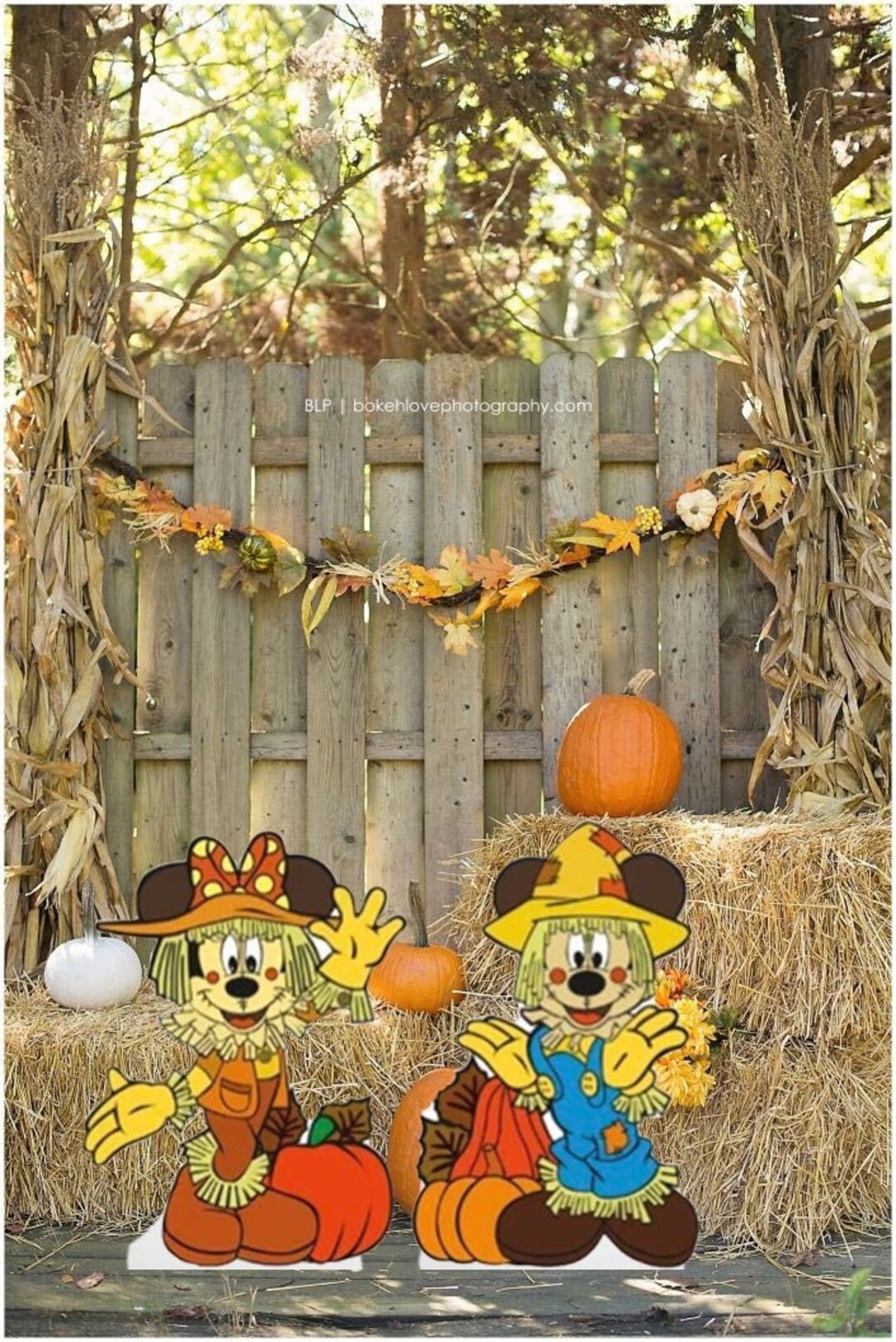 Hand Painted Disney Scarecrow Mickey and Minnie Mouse Halloween/ Fall ...