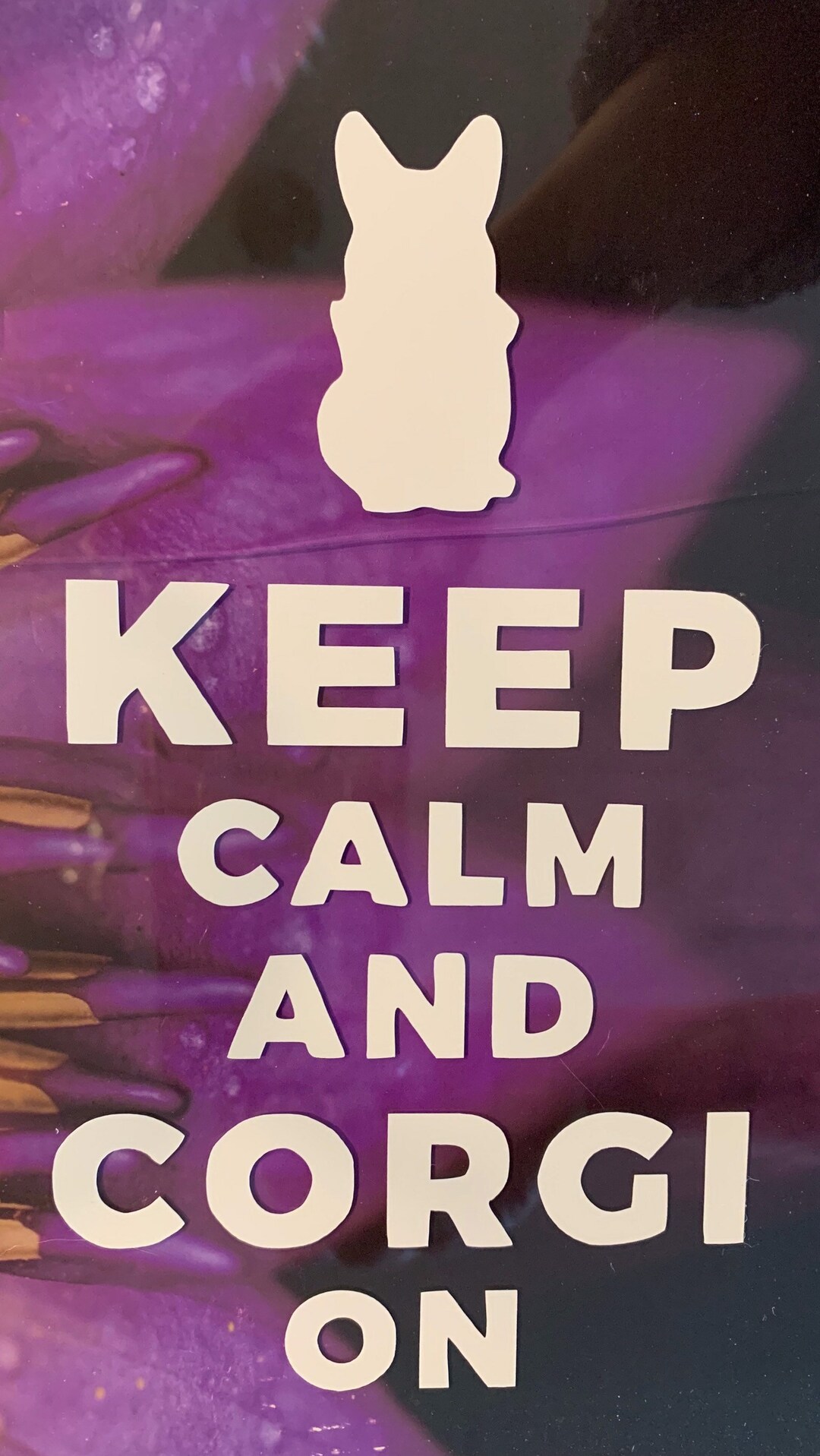 Keep Calm and Corgi on -- Vinyl Car Window Sticker--corgi Decal - Etsy