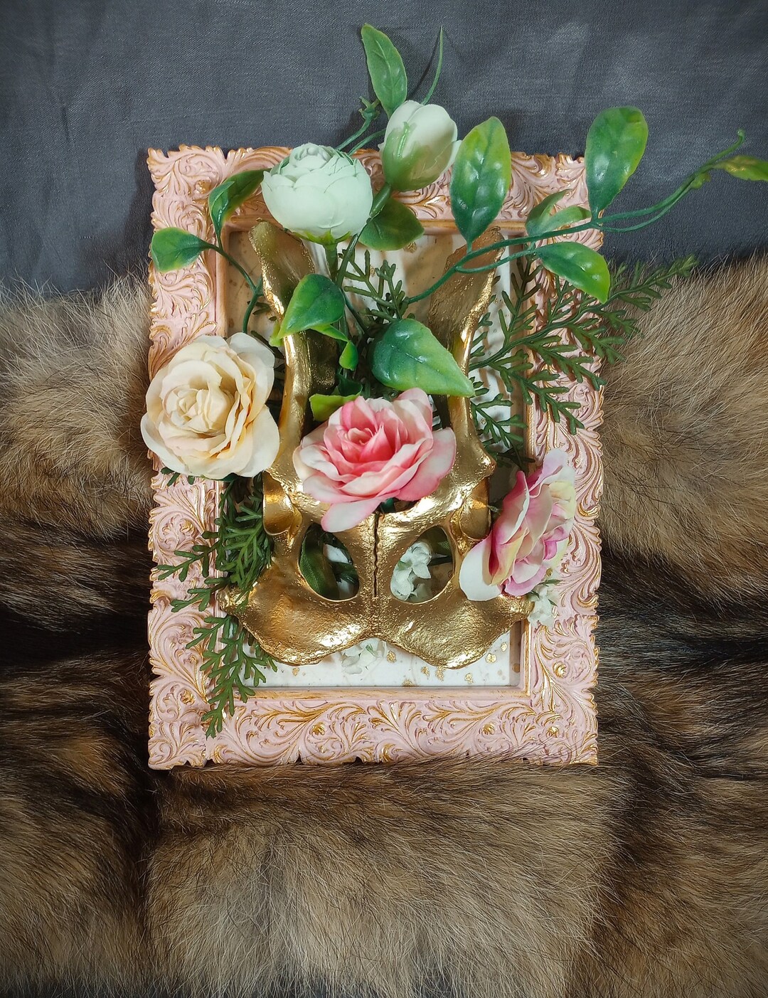 Coyote Pelvic Bone in Ornate Pink Frame- Gold Female Coyote Pelvis ...