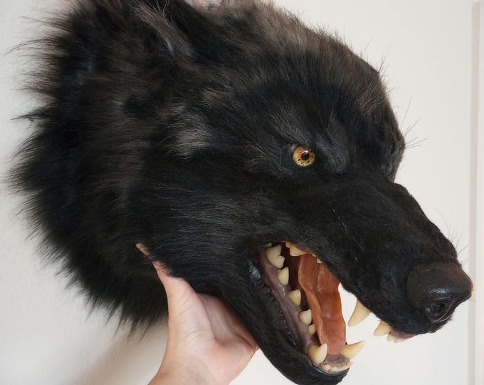 Smoky Black Wolf-amber Eyes, Handmade, Faux Wolf Trophy Head, Fake ...