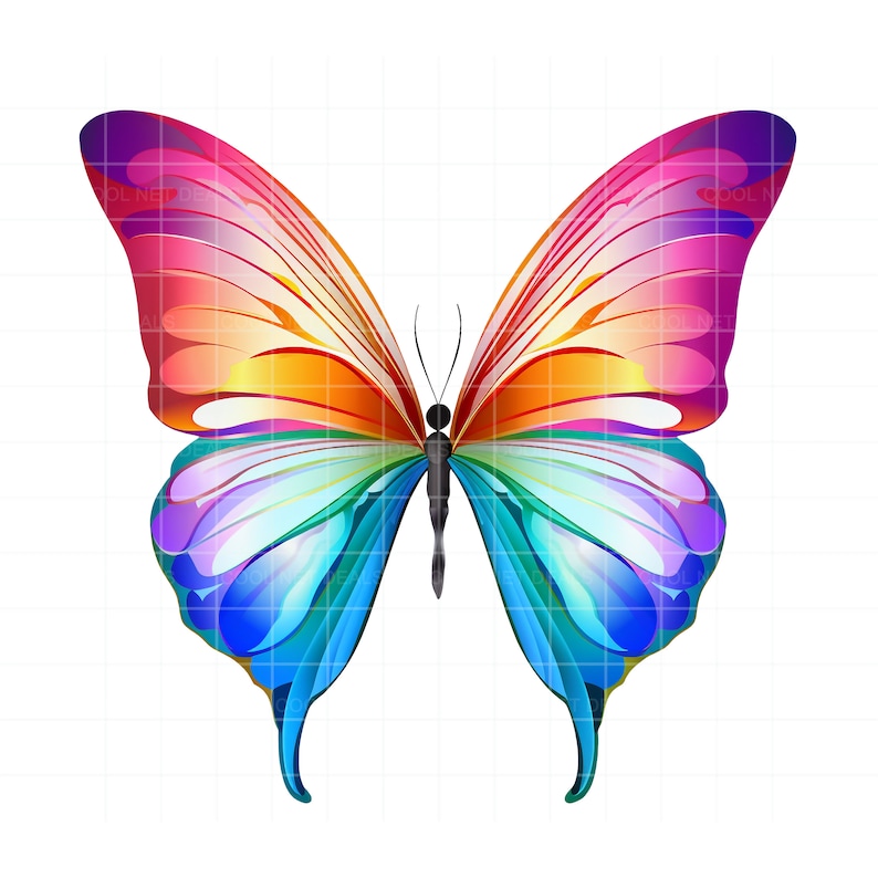 Rainbow Butterfly PNG Clipart Set, Butterfly PNG, Colorful Butterflies ...