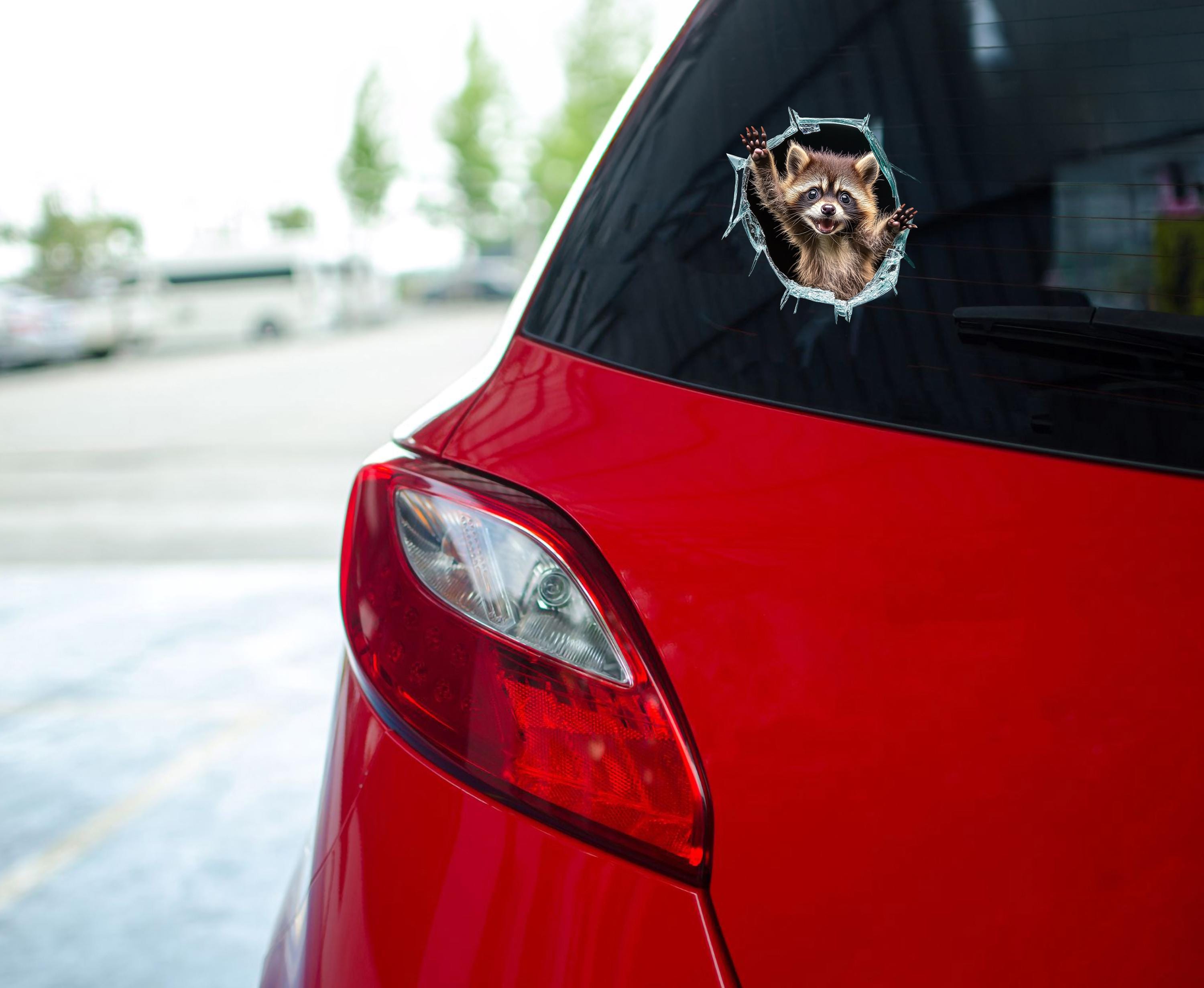 Raccoon Car Sticker, Funny Car Sticker, Funny Cute Racoon Sticker ...