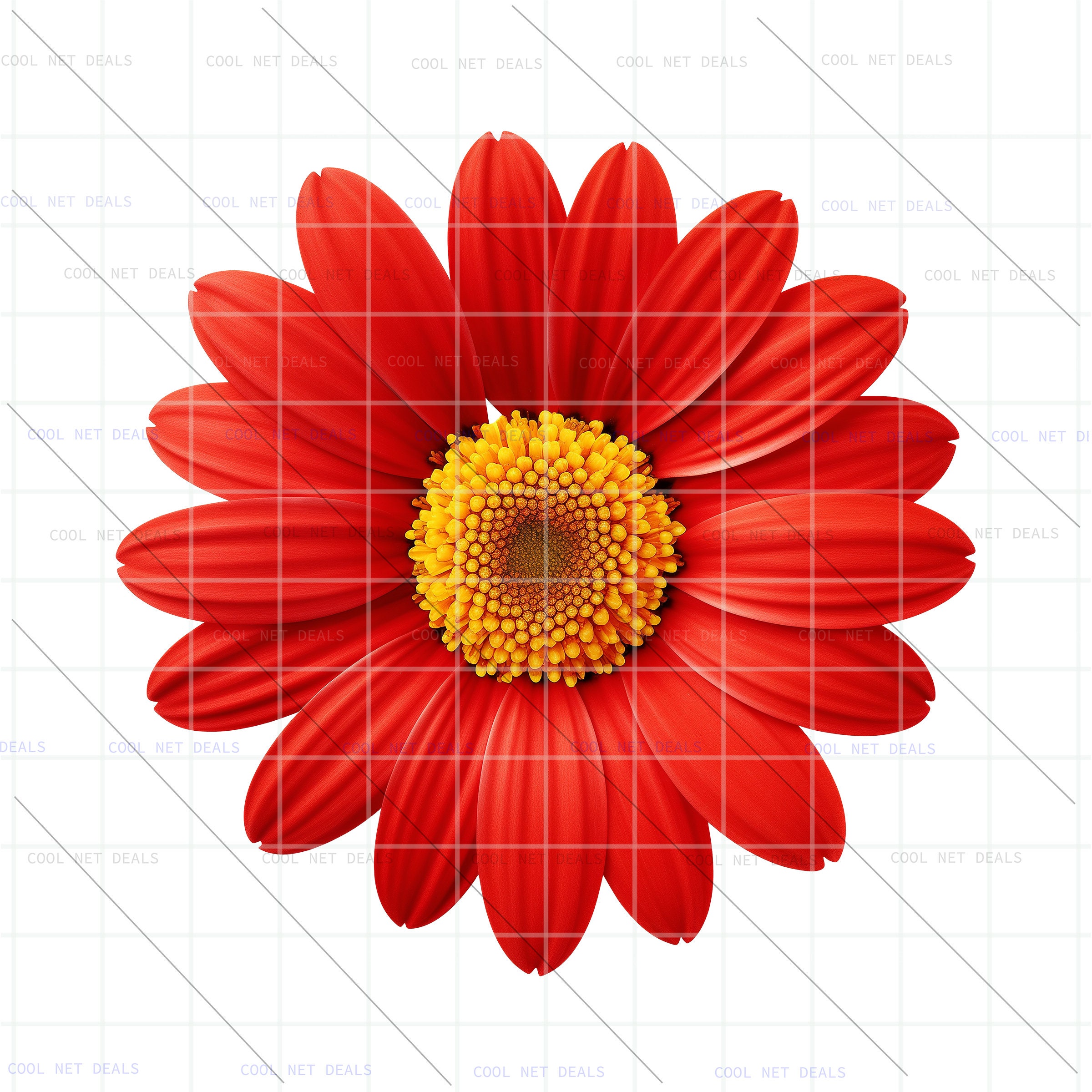 Daisy SVG Bundle, Colorful Daisy Clipart JPG, Flower Clipart PNG ...