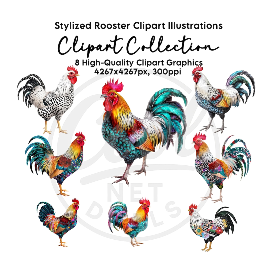 Colorful Rooster Clipart: Stylized PNG & JPG Images (digital Download ...