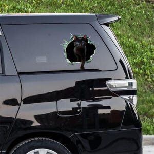 Cat Sticker, Cat Car Sticker, Funny Cat Sticker, Windshield Decal, Cute ...