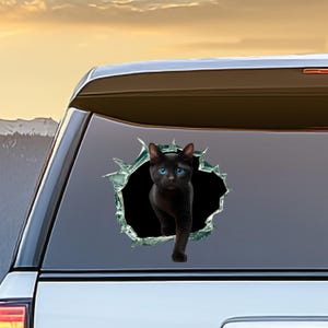 Cat Sticker, Cat Car Sticker, Funny Cat Sticker, Windshield Decal, Cute ...