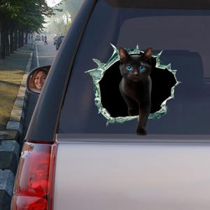 Cat Sticker, Cat Car Sticker, Funny Cat Sticker, Windshield Decal, Cute ...