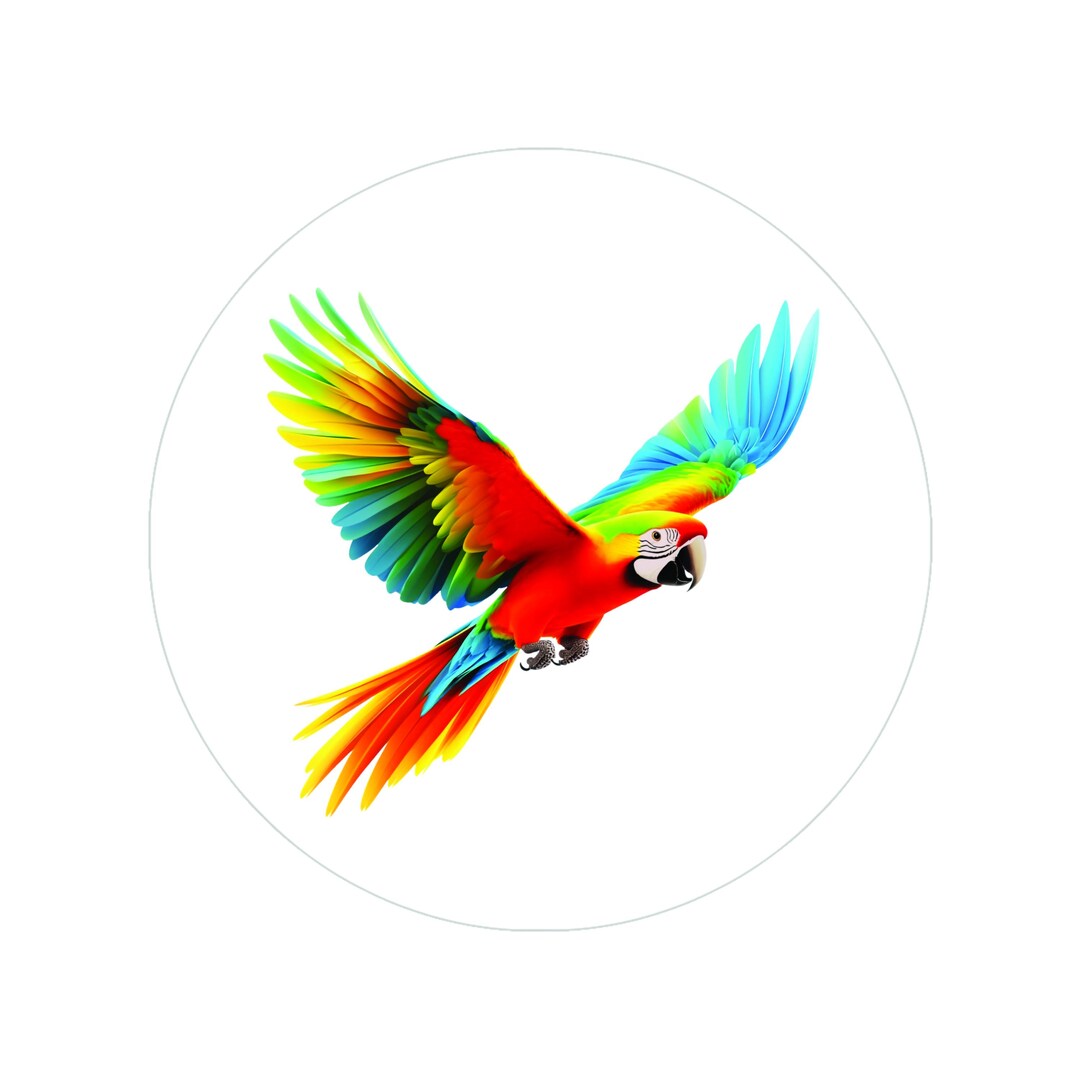 Rainbow Parrot Sticker, Colorful Macaw Decal, Tropical Bird Vinyl ...
