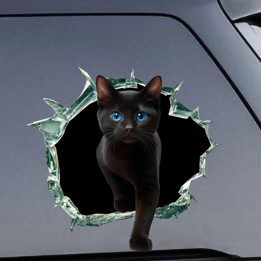 Cat Sticker, Cat Car Sticker, Funny Cat Sticker, Windshield Decal, Cute ...