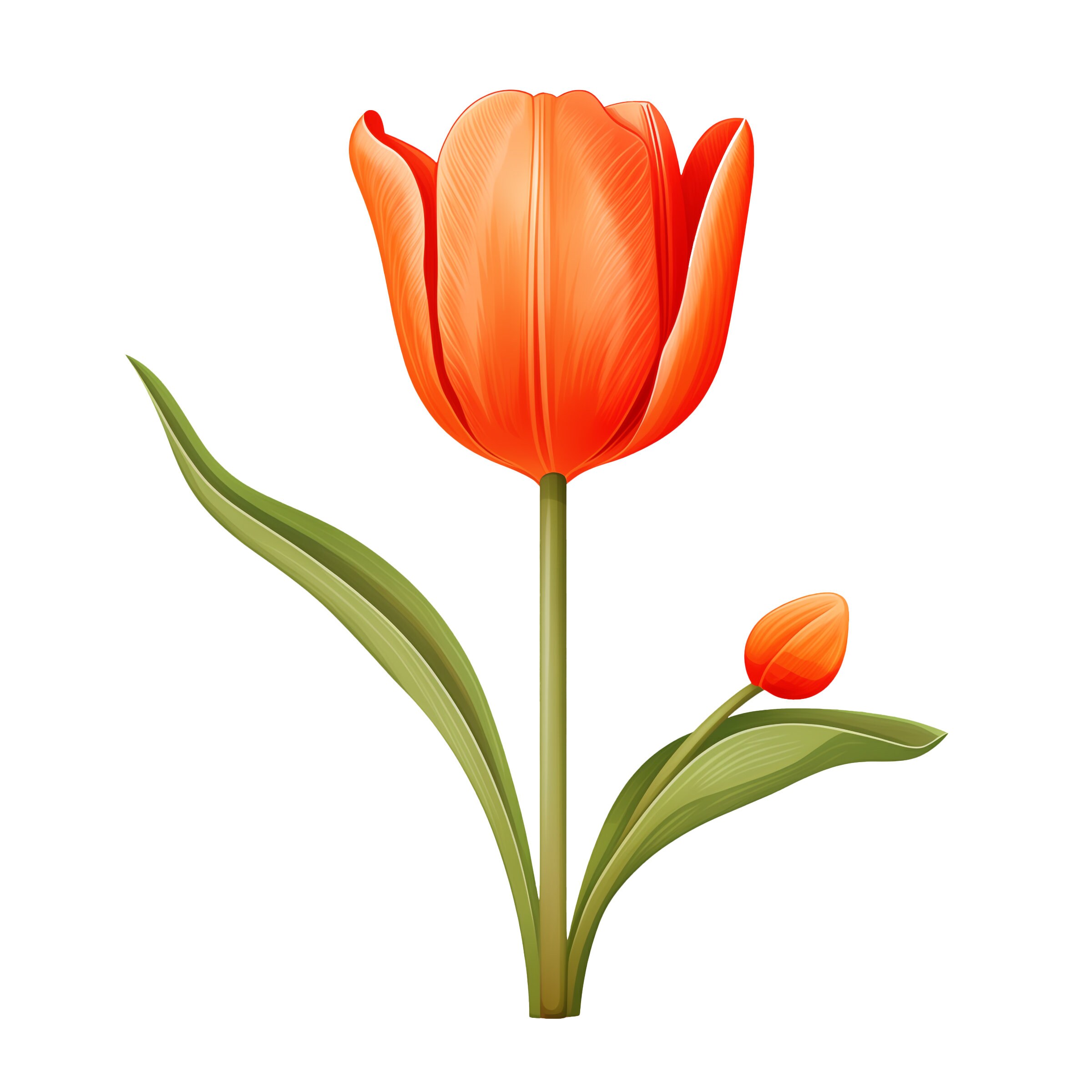 Tulip Bundle, 9 Colorful Tulip Flowers SVG, Flower Clipart PNG ...