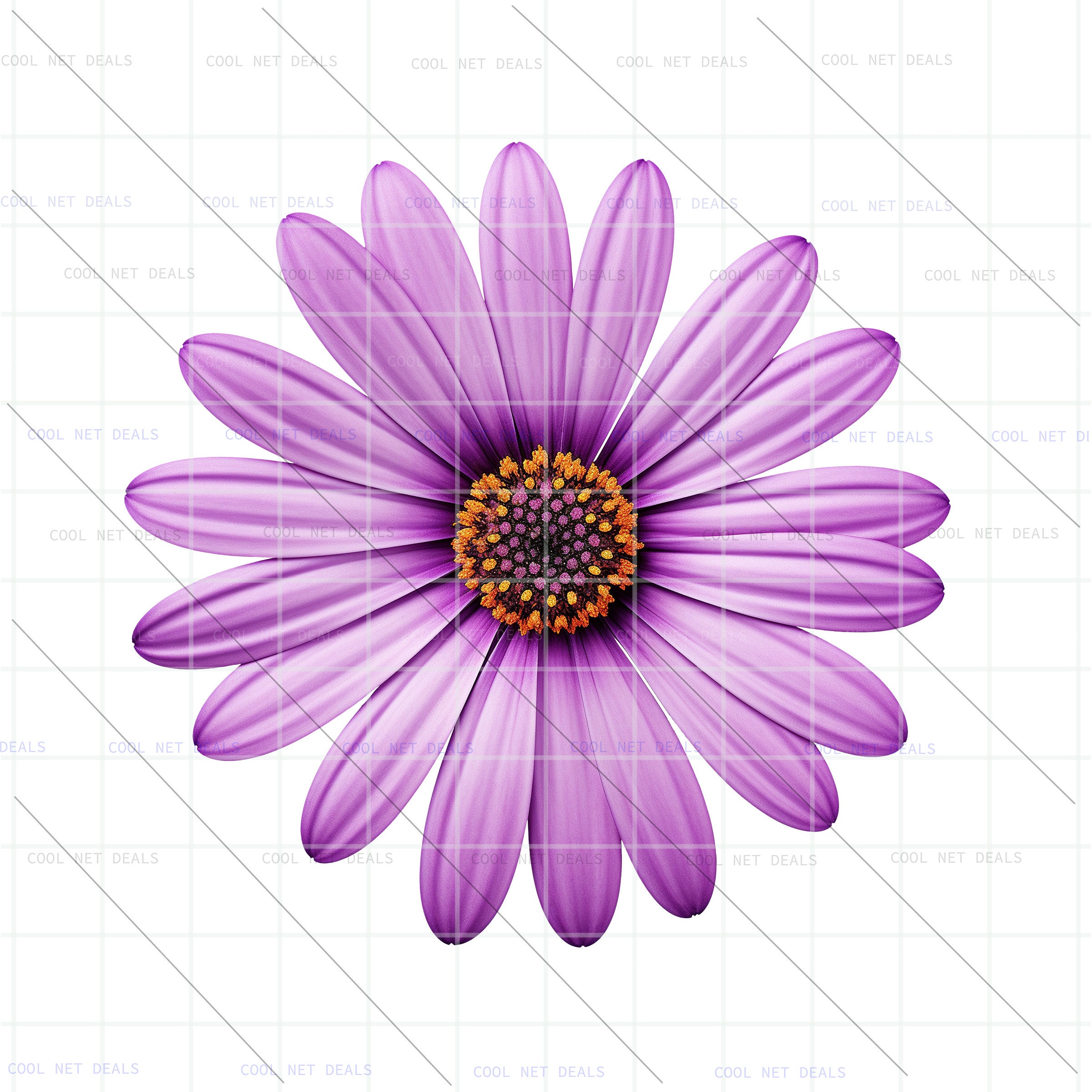 Daisy SVG Bundle, Colorful Daisy Clipart JPG, Flower Clipart PNG ...