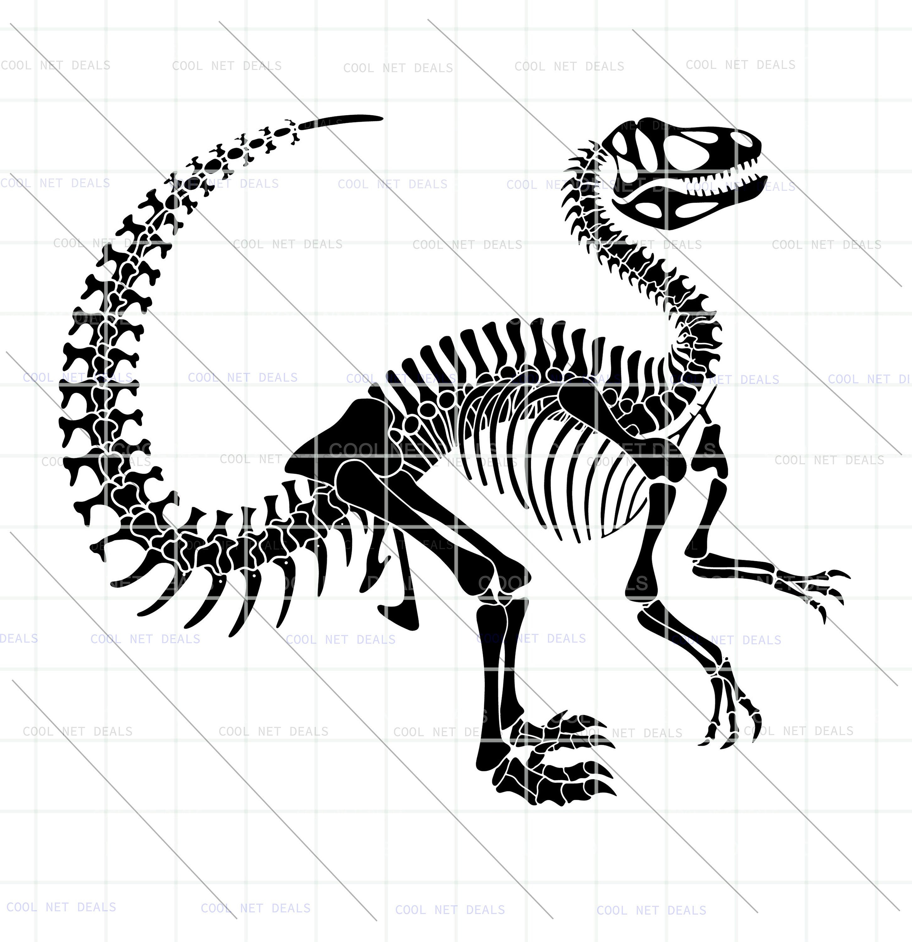 Raptor Clipart SVG, Velociraptor Skeleton AI, Dinosaur Bones PNG ...