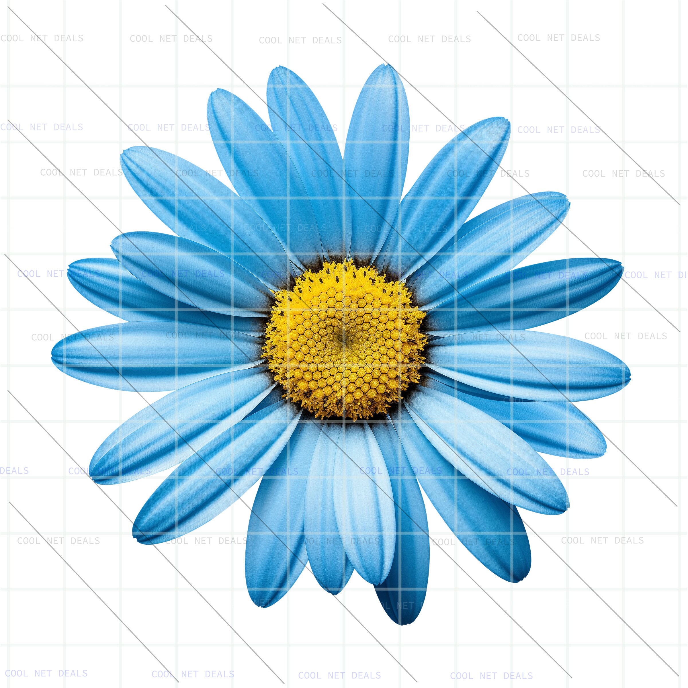 Daisy SVG Bundle, Colorful Daisy Clipart JPG, Flower Clipart PNG ...