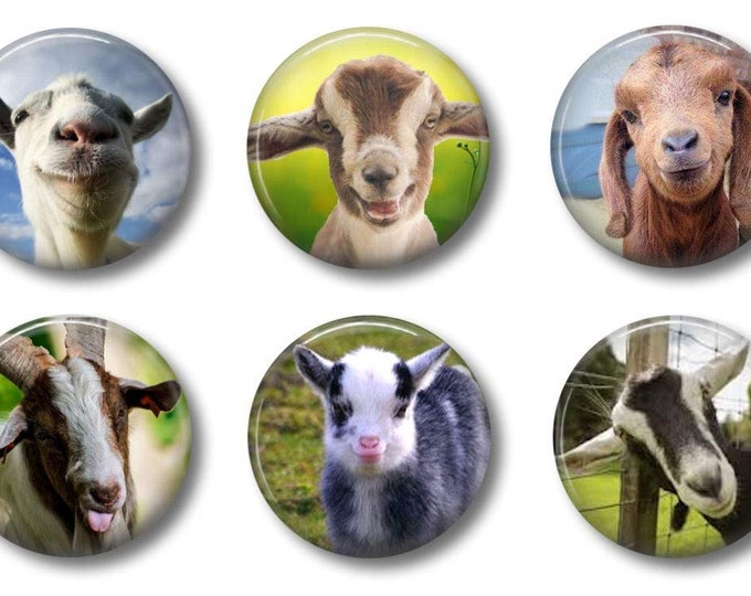 Set of 6 Baby Goat Fridge Magnets or Pinback Button Pins - 1.25" Size ...