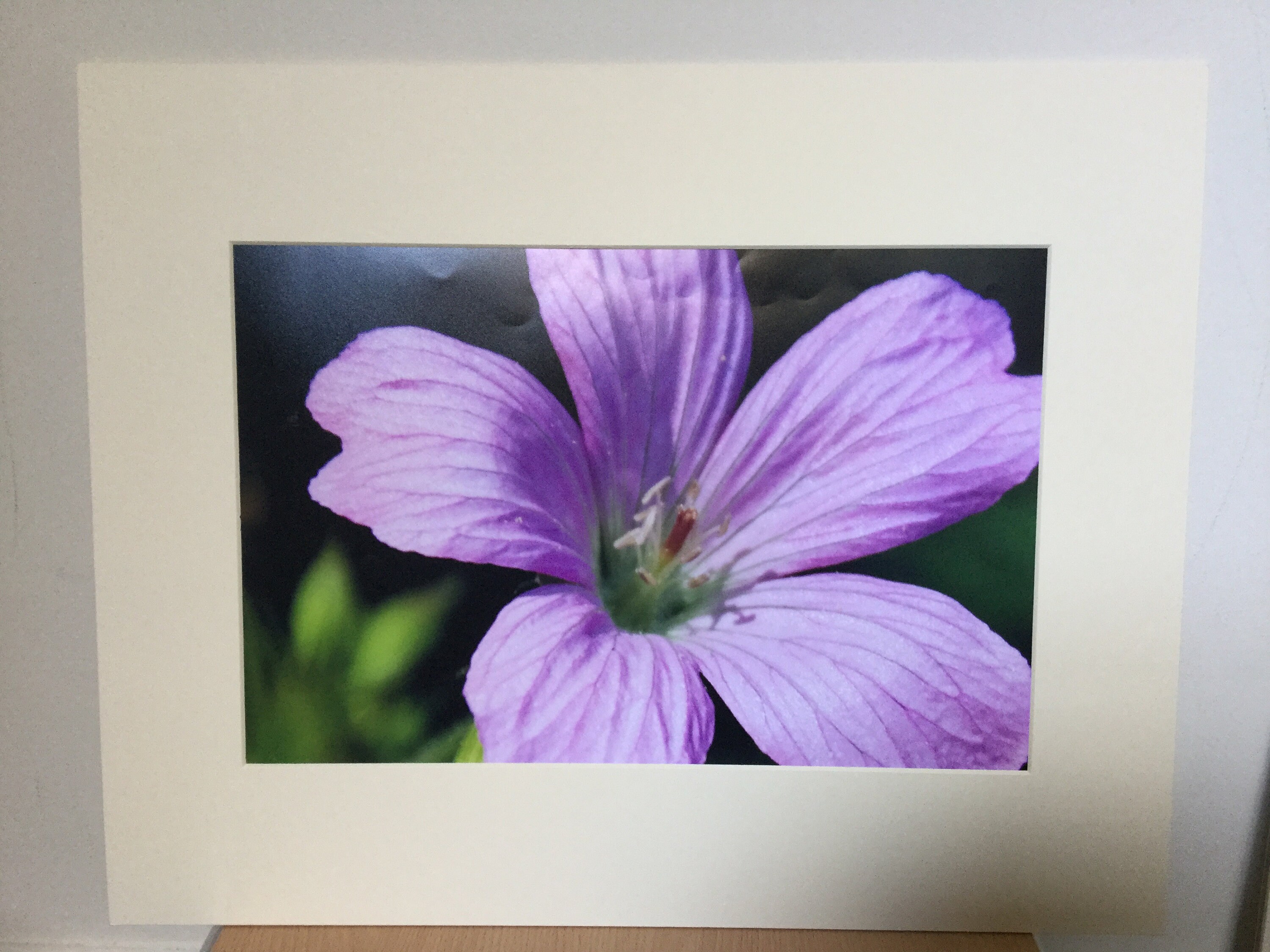 A3 Flower Print Etsy a3-flower-print-etsy