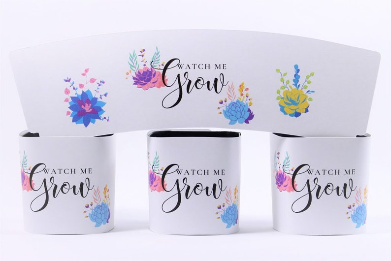 Watch Me Grow Baby Shower Succulent Wrapper - Colored; Packs of 10, 20 ...