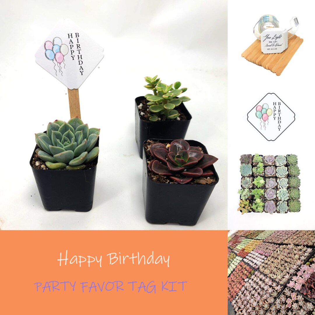 Happy Birthday - Party Favor Tag Kit - Etsy