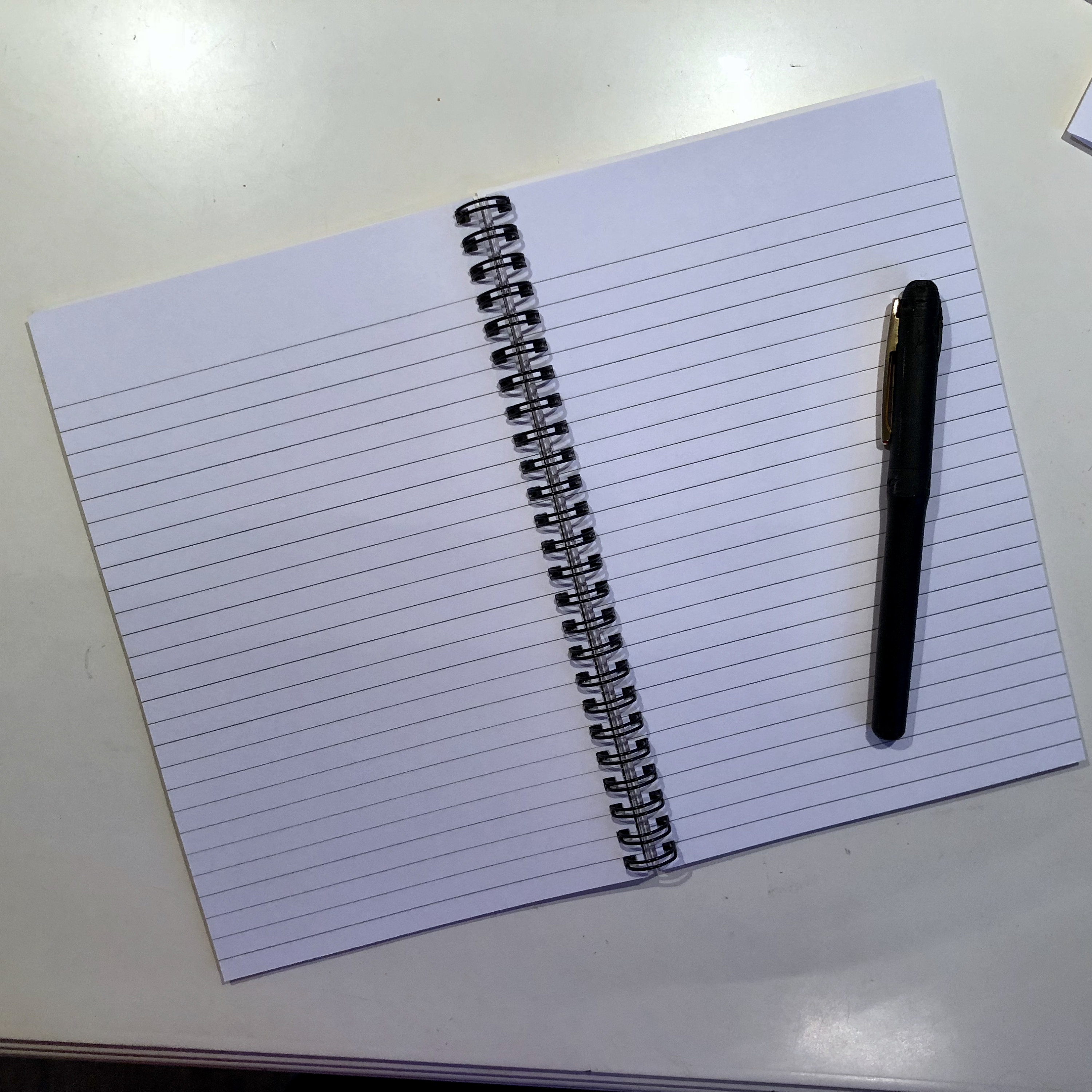 Goldendoodle Lined Notebook Custom Doodles Name Life is Better With My ...