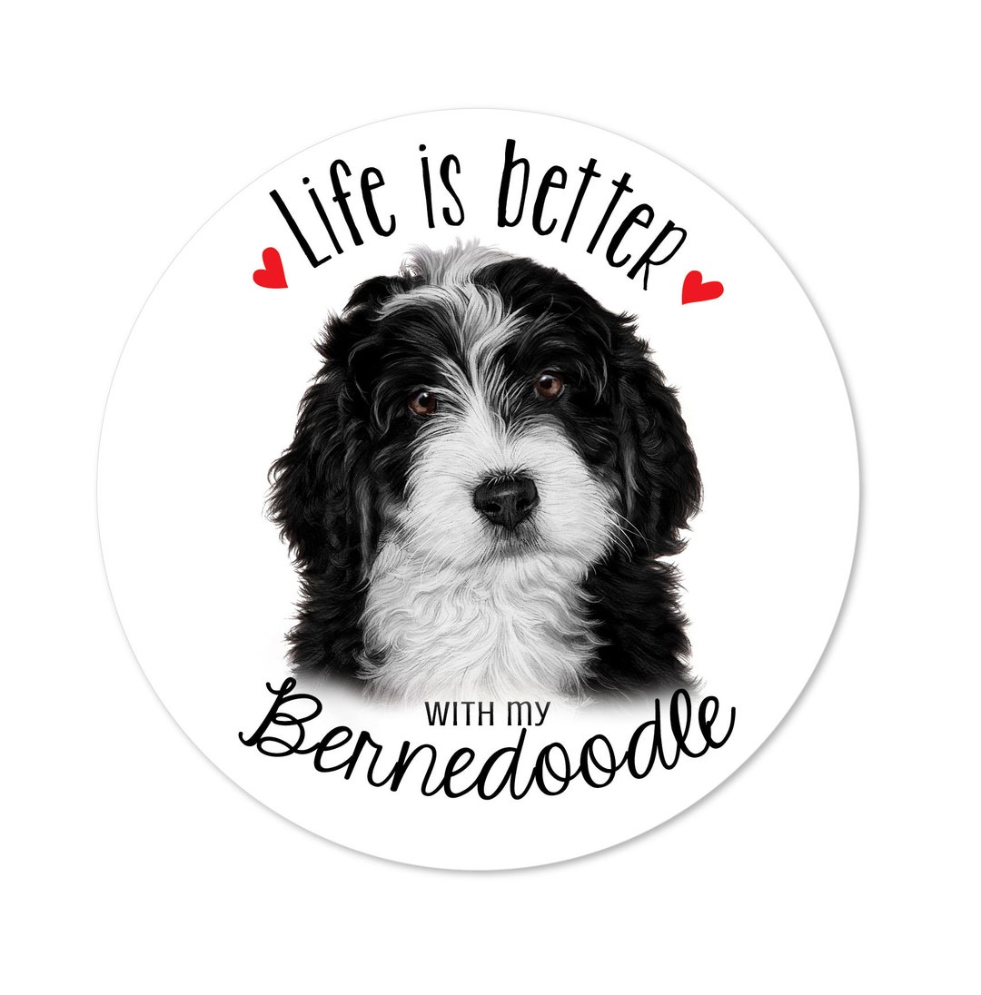 Bernedoodle Sticker Life is Better With a Bernedoodle - Etsy