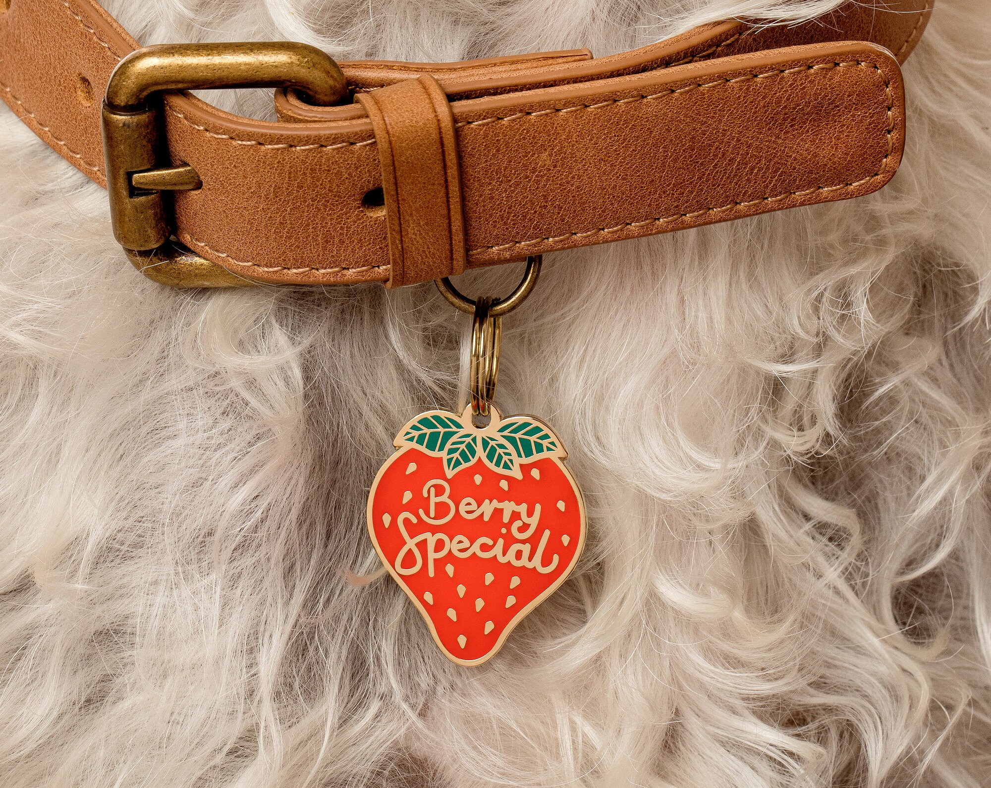 Pet Id Tag Dog Id Tag Dog Tag for Dogs Personalized Tags - Etsy