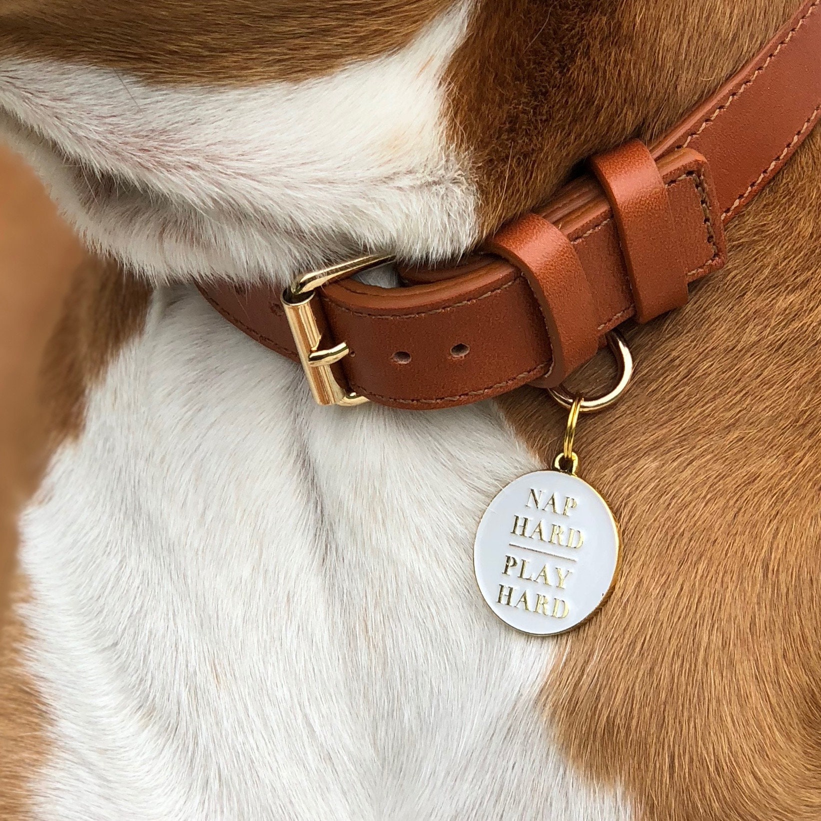 Pet Id Tag Dog Id Tag Dog Tag for Dogs Personalized Tags - Etsy