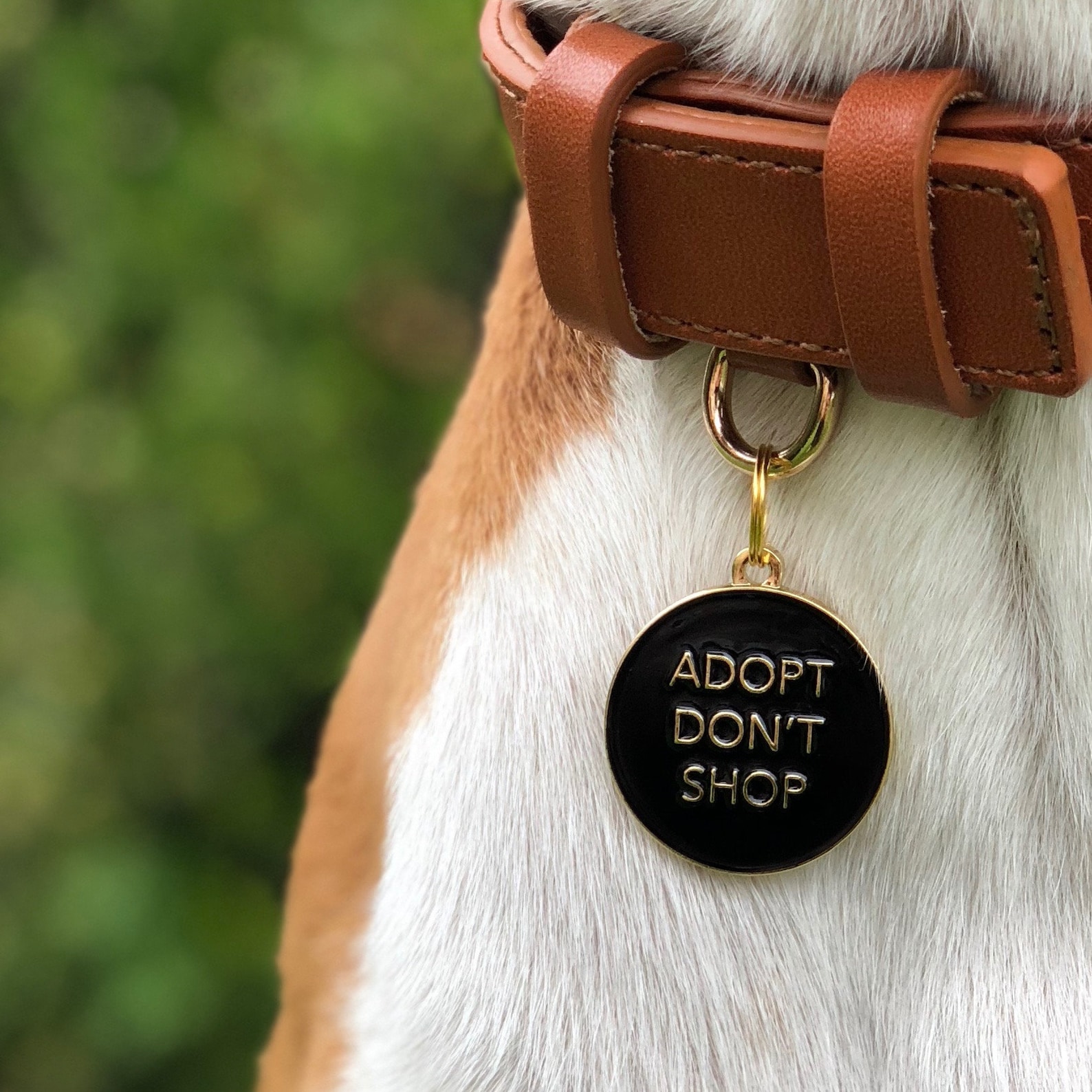 Pet Id Tag • Dog Id Tag • Dog Tag for Dogs • Personalized Tags • Dog Id ...