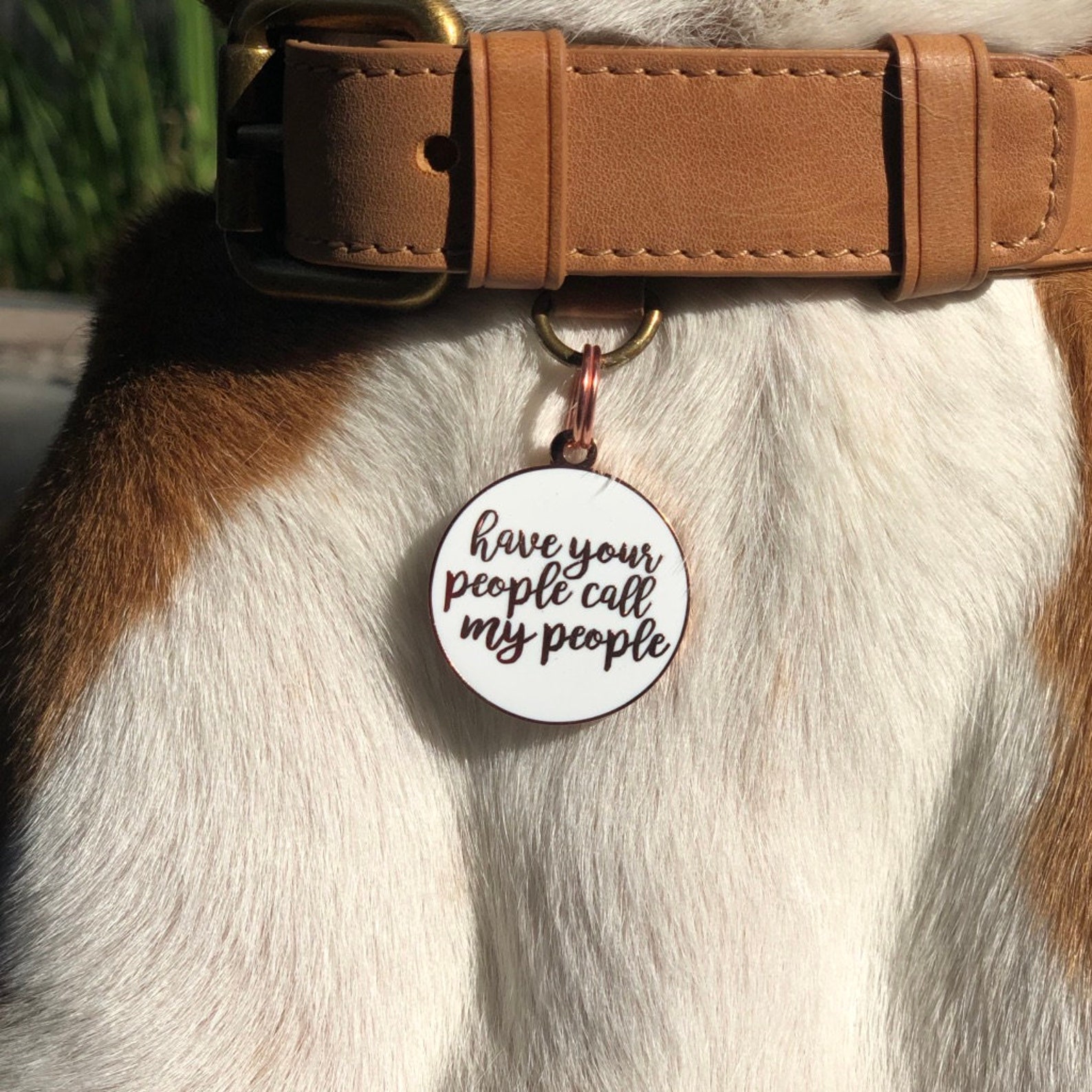 Pet Id Tag Dog Id Tag Dog Tag for Dogs Personalized Tags - Etsy