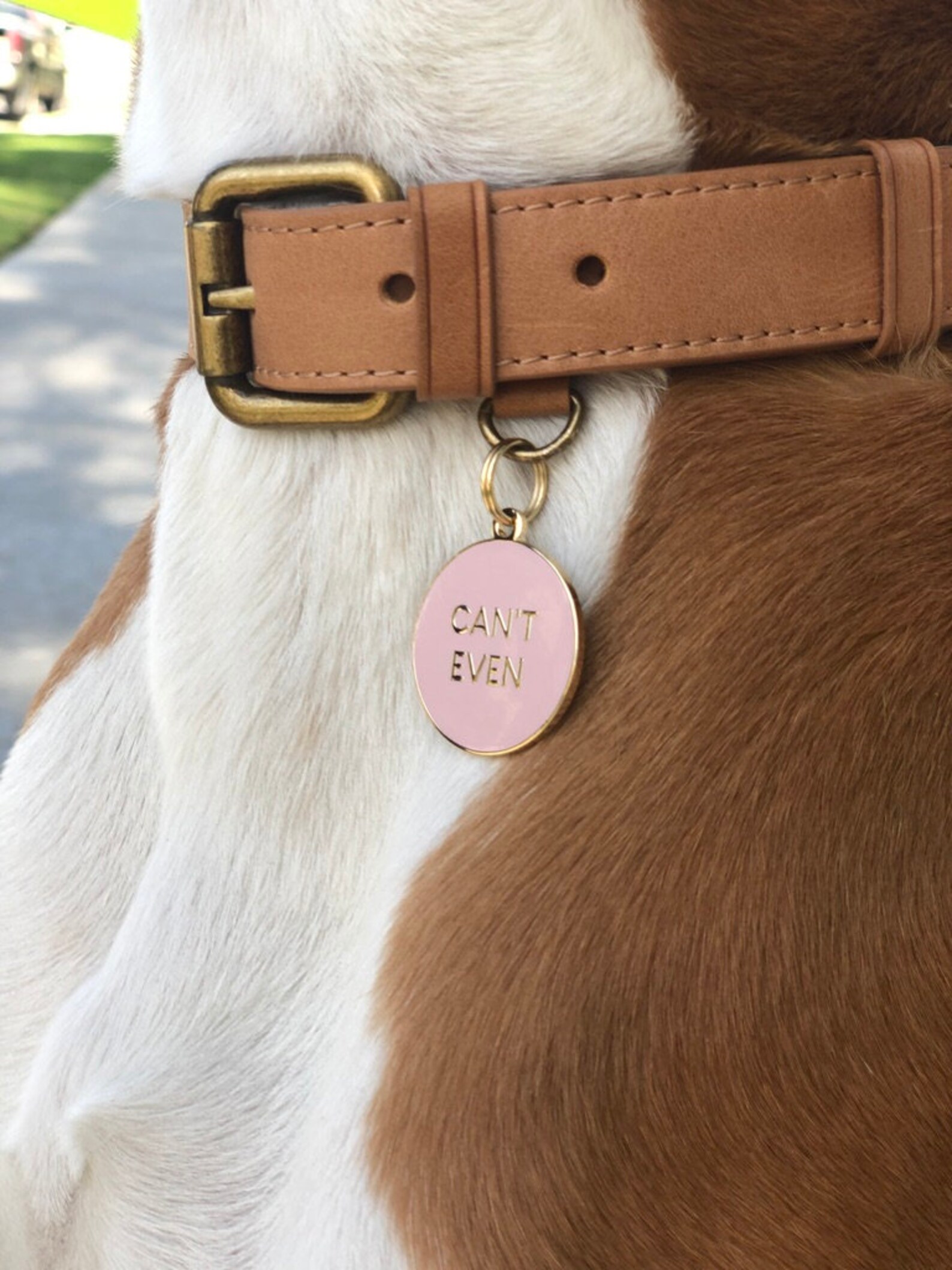 Pet Id Tag Dog Id Tag Dog Tag for Dogs Personalized Tags - Etsy