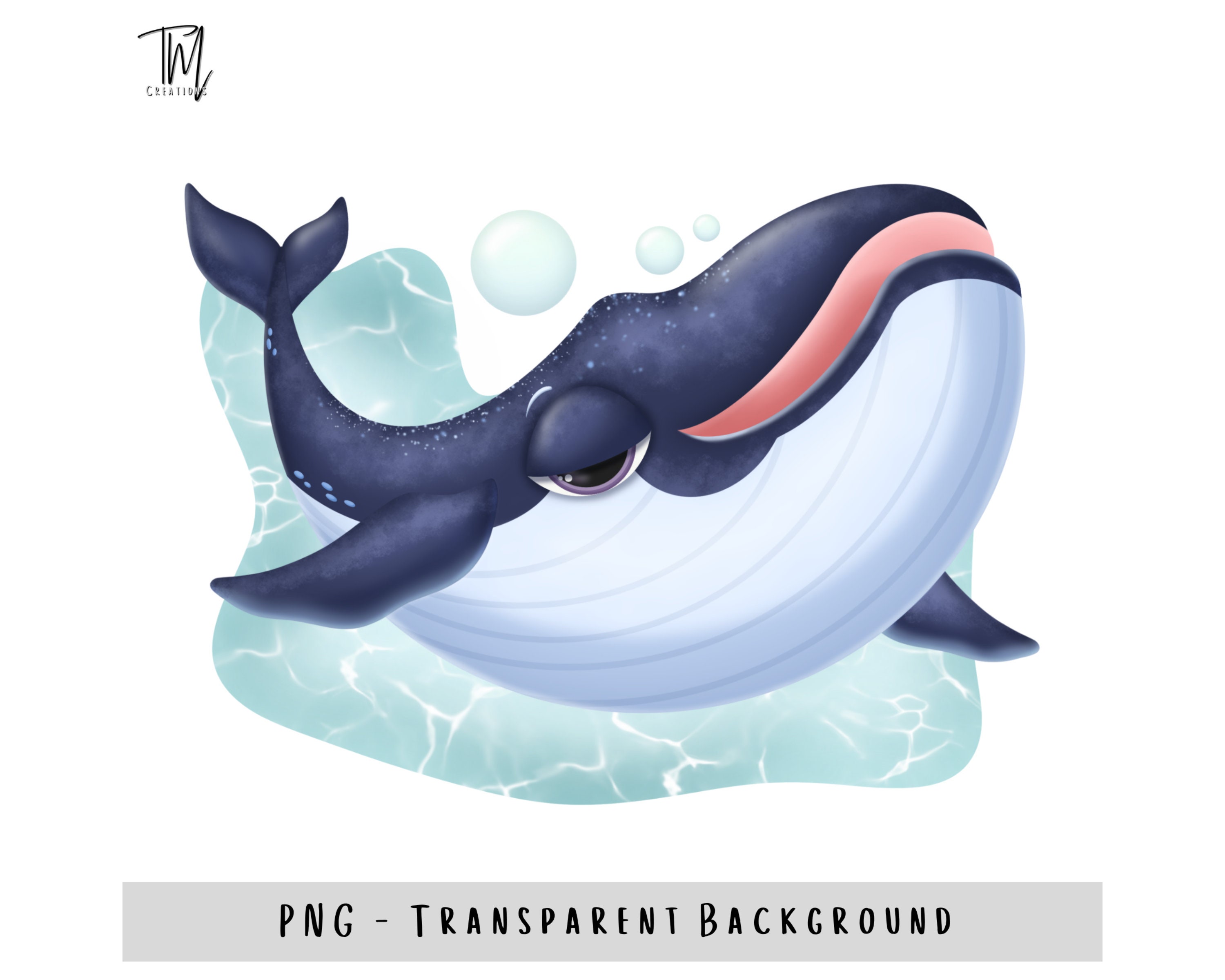 Humpback Whale Cartoon