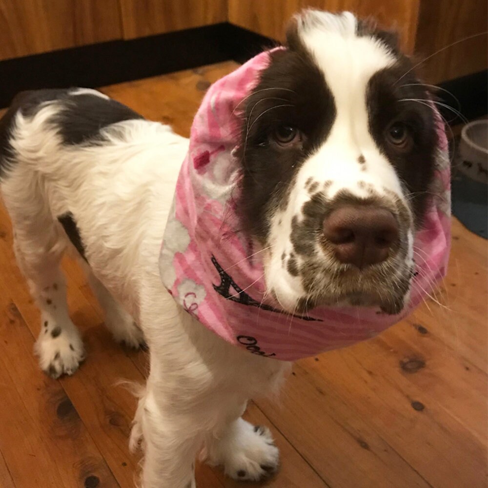 Dog Snoods A Must for Long Eared Dogs When Eating - Etsy UK