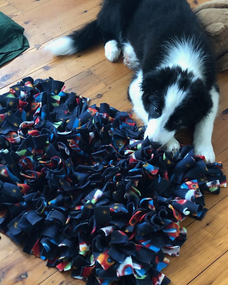 Snuffle Mat Large 60cms X 40cms 100's of Happy | Etsy Australia