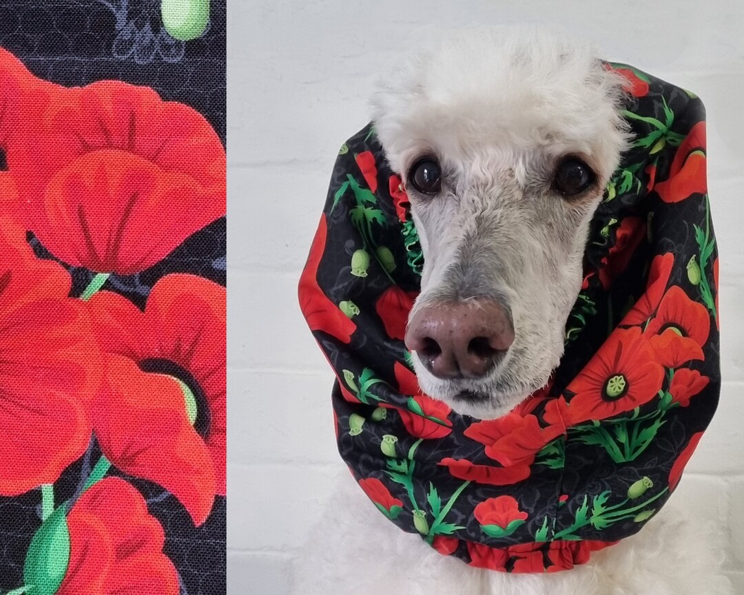 Dog Snoods A Must for Long Eared Dogs When Eating - Etsy Italia