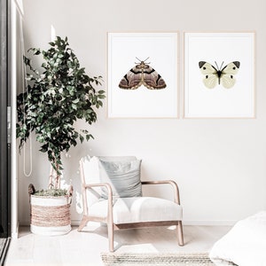 Moth Art Print Botanical Poster Boho Modern Neutral Insect Art ...