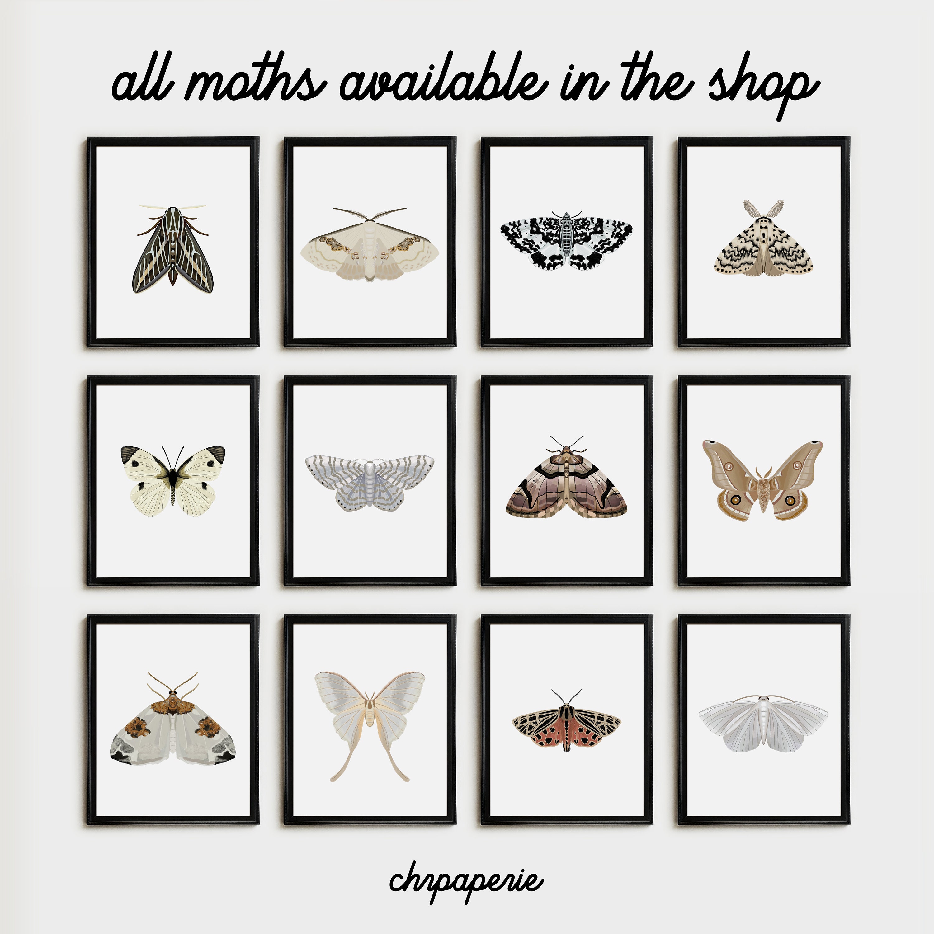 Moth Art Print Botanical Poster Boho Modern Neutral | Etsy