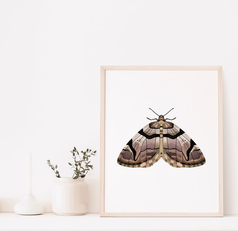 Moth Art Print Botanical Poster Boho Modern Neutral - Etsy
